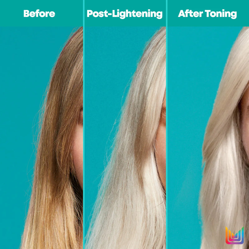 Tonal Control - 9AA ASH ASH - Silver Standout – International Beauty ...